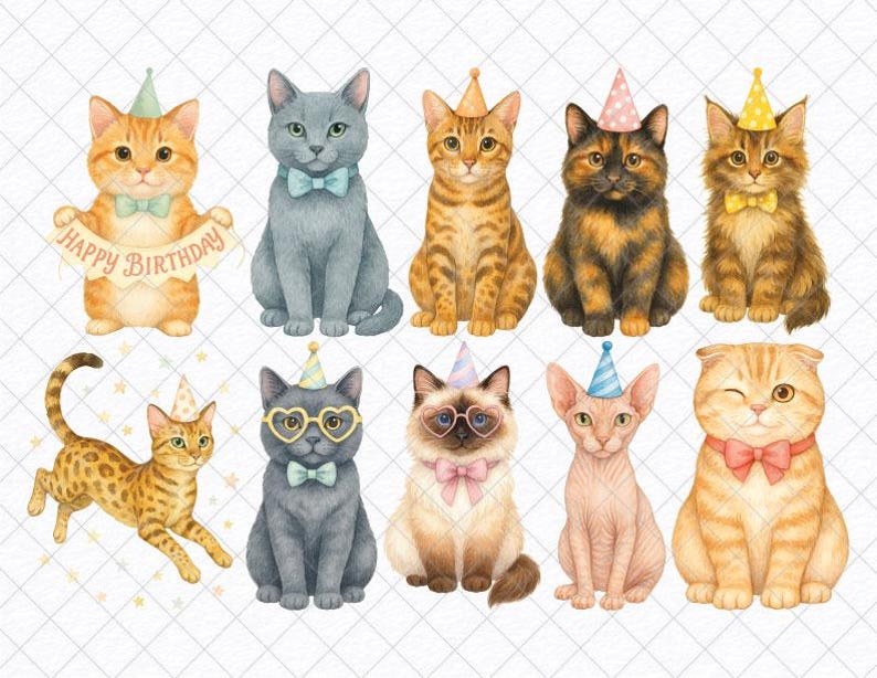 Cat Birthday Clipart Bundle / Watercolor / High Quality PNG ...