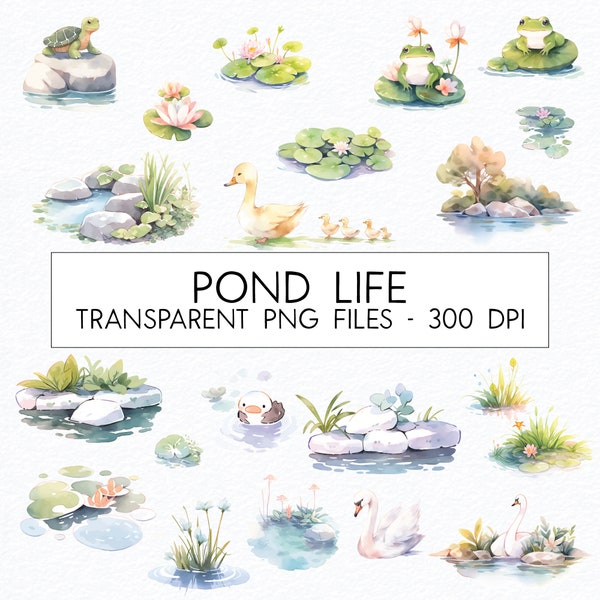 Pond Life Art - Etsy