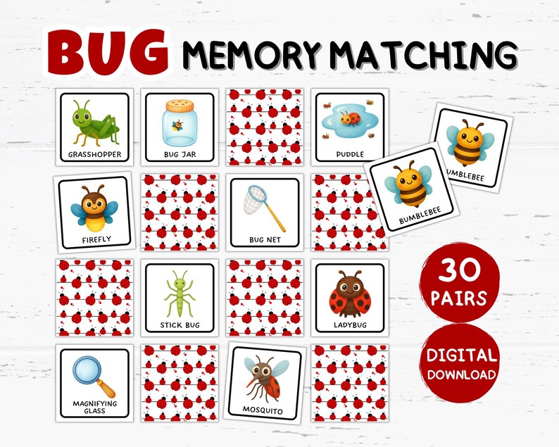 Bug Memory Matching Game for Kids, Printable Insect Learning Activity ...