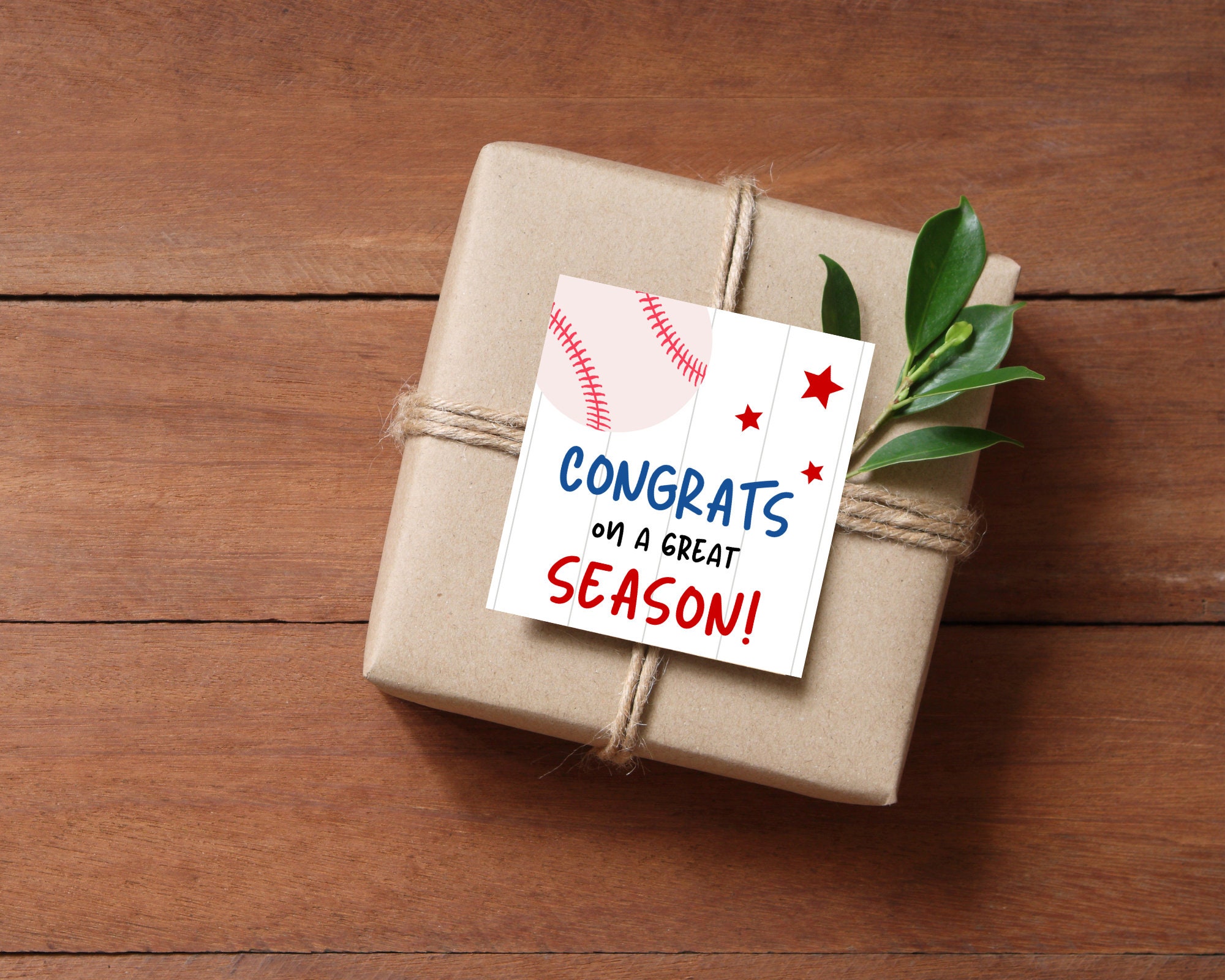 Congrats on a Great Season Tags, Baseball Congratulation Gift Tags ...