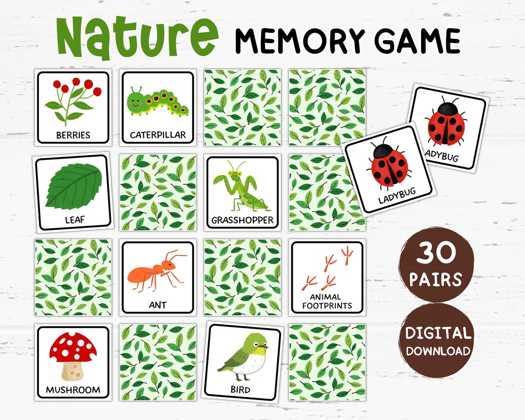 Nature Memory Game Printable, Matching Game, Nature Flashcards, Nature ...