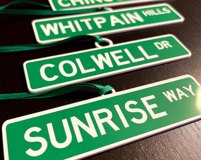 Personalized Street Sign, Name Sign, Road Sign, Available in 3 Sizes ...