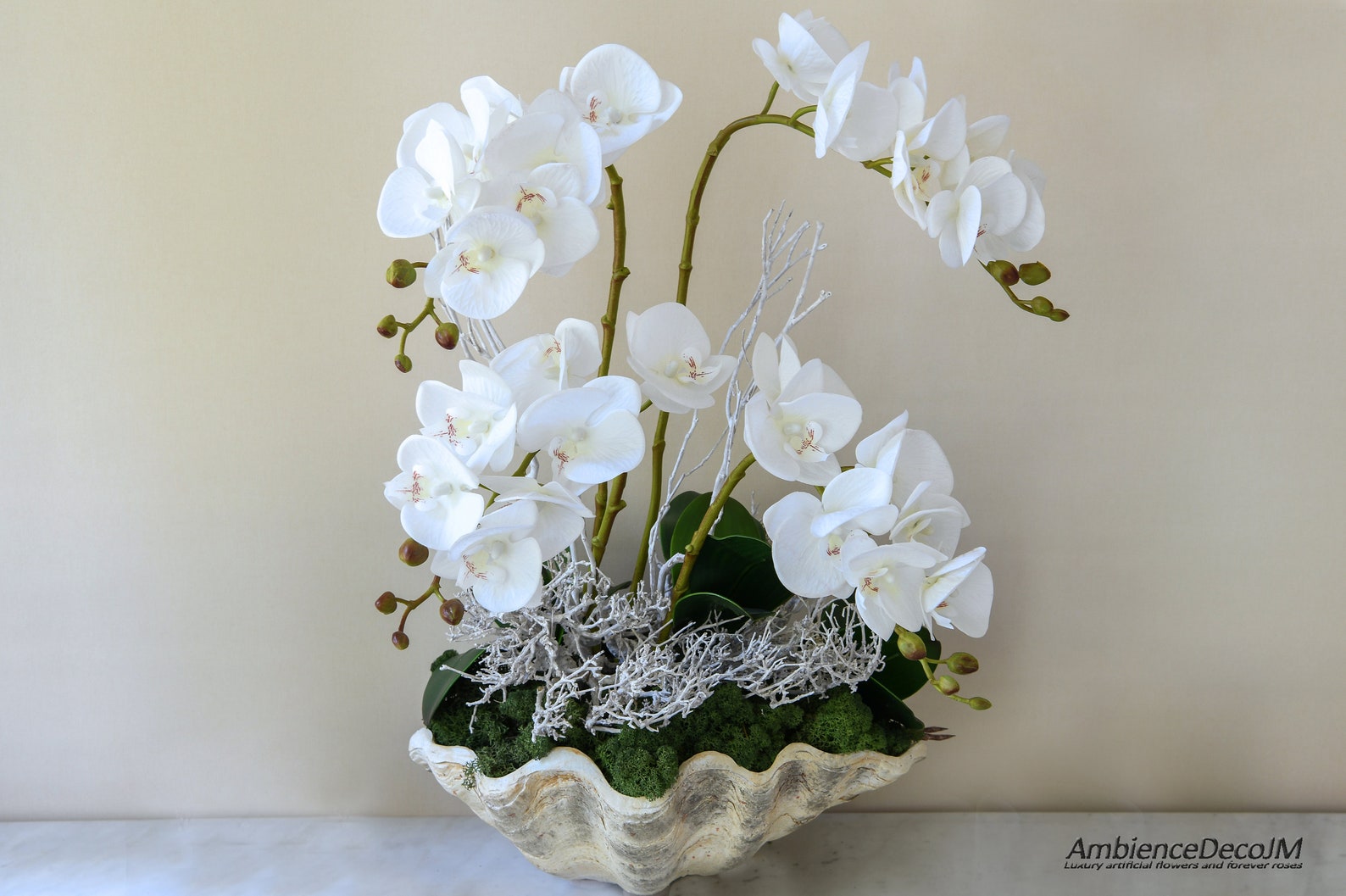 Real Touch Orchids in a Clam Shell | Etsy