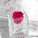 Single Infinity Rose in a Cube Vase, Eternal Rose Table Decor, Forever ...