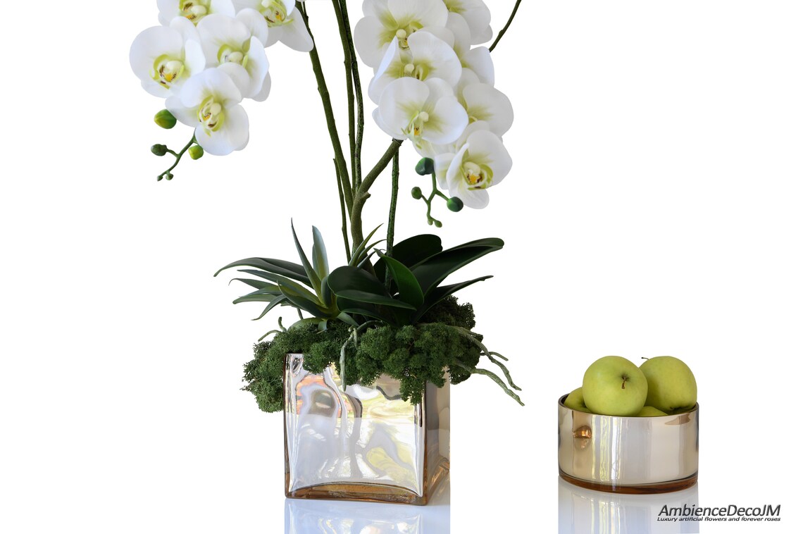 Real Touch Orchids With Succulent. Faux Orchid Arrangement. | Etsy UK