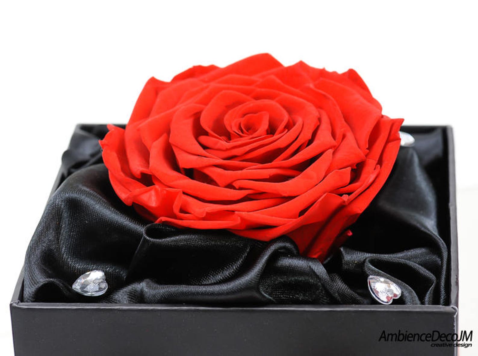 Infinity rose in a box preserved single red rose in a | Etsy