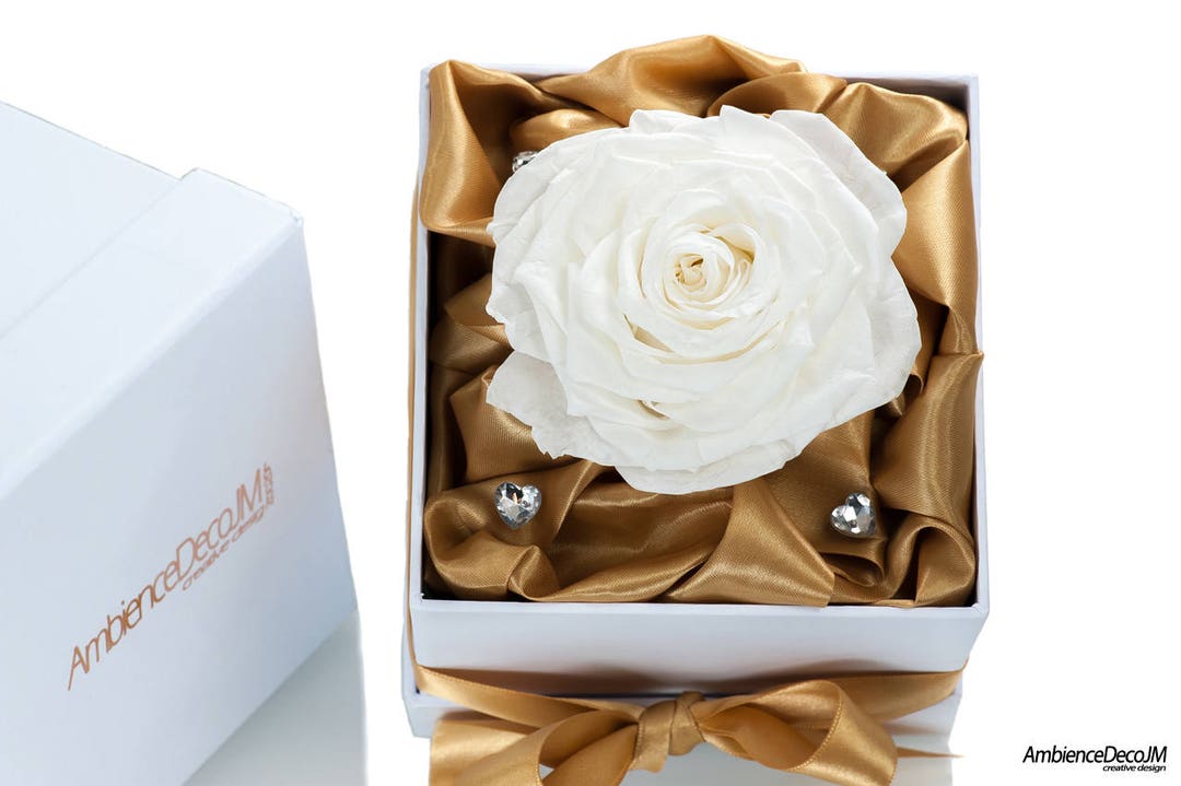 Infinity Rose, Infinity Rose for Mother's Day, Forever Rose, Infinity ...