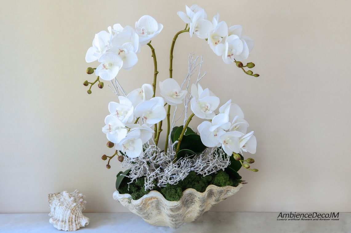 Real Touch Orchids in a Clam Shell | Etsy