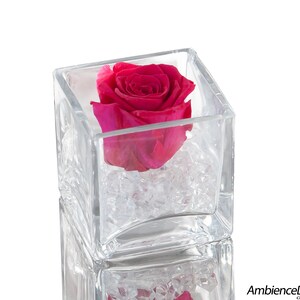 Single Infinity Rose in a Cube Vase, Eternal Rose Table Decor, Forever ...