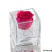 Single Infinity Rose in a Cube Vase, Eternal Rose Table Decor, Forever ...
