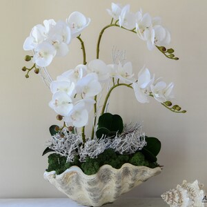 Real Touch Orchids in a Clam Shell | Etsy