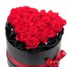 Red Infinity Roses in a Box, Heart Shaped Infinity Roses in Box, Boxed ...