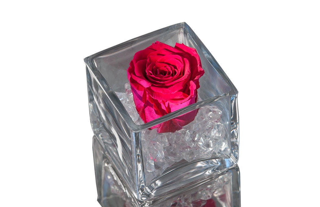 Single infinity rose in a cube vase Eternal rose table decor | Etsy