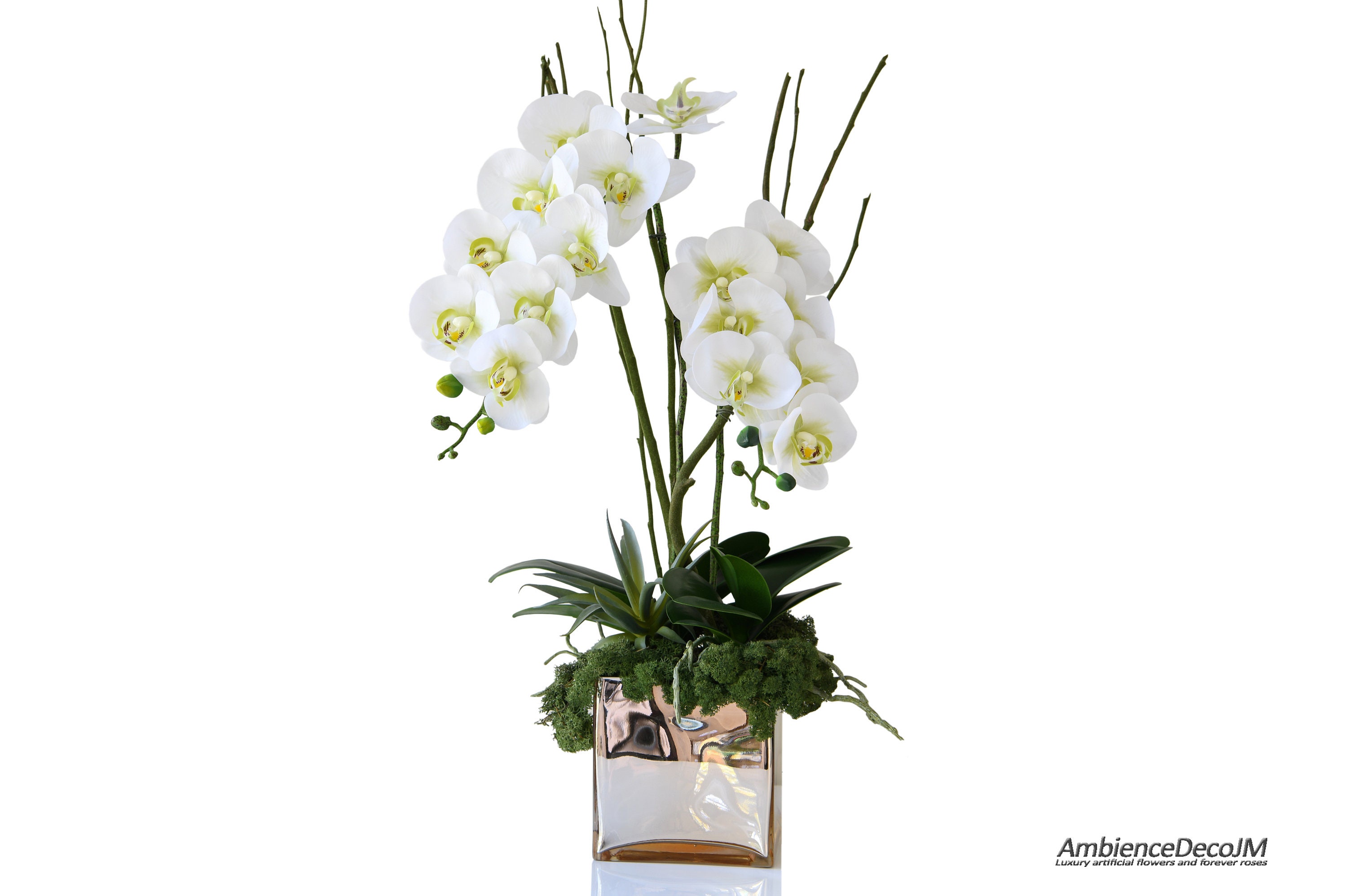 Real Touch Orchids With Succulent. Faux Orchid Arrangement. Orchid ...