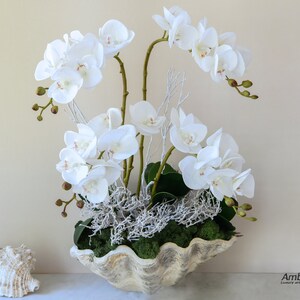 Real Touch Orchids in a Clam Shell | Etsy