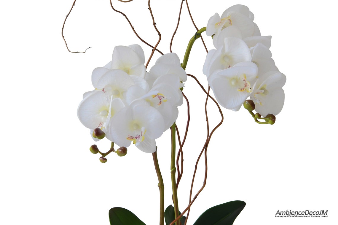 Real Touch Orchids in Beaded Pot. Artificial Orchid - Etsy