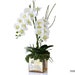 Real Touch Orchids With Succulent. Faux Orchid Arrangement. Orchid ...
