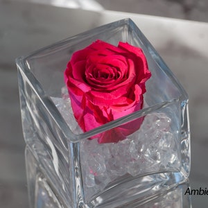 Single Infinity Rose in a Cube Vase, Eternal Rose Table Decor, Forever ...