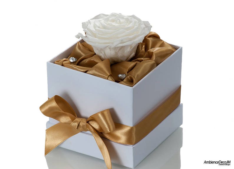 Infinity Rose Infinity Rose for Mother's Day Forever - Etsy