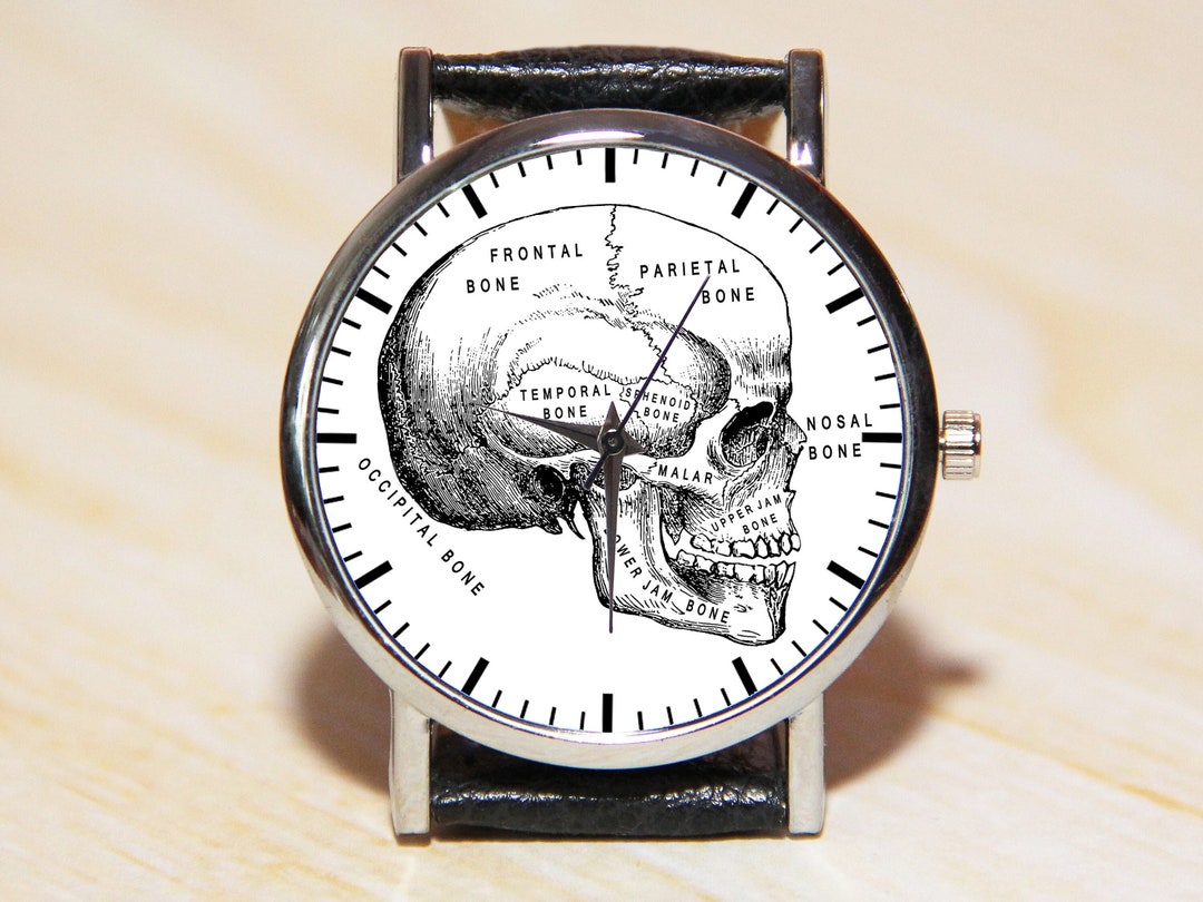 Skull Watch, Human Skull Watch, Human Anatomy Watch, Skull Dіagram ...