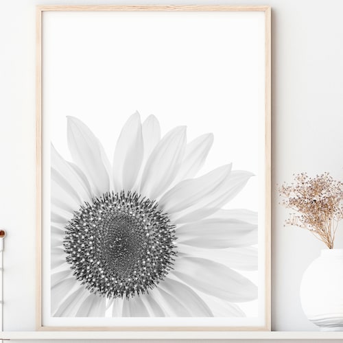 Black and White Sunflower Digital Print Sunflower Home Decor - Etsy