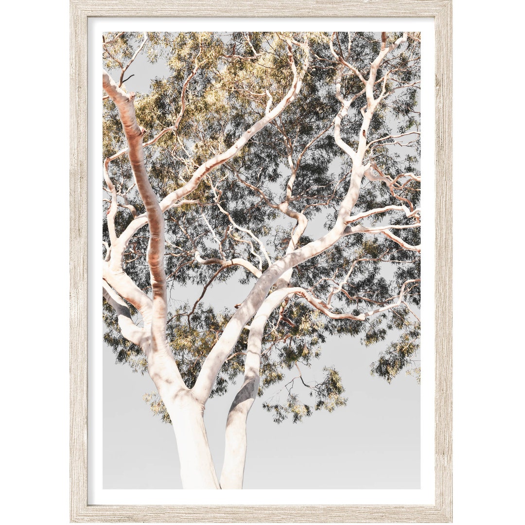 Tree Art, Tree Photography Prints, Extra Large Wall Art Prints, Neutral ...