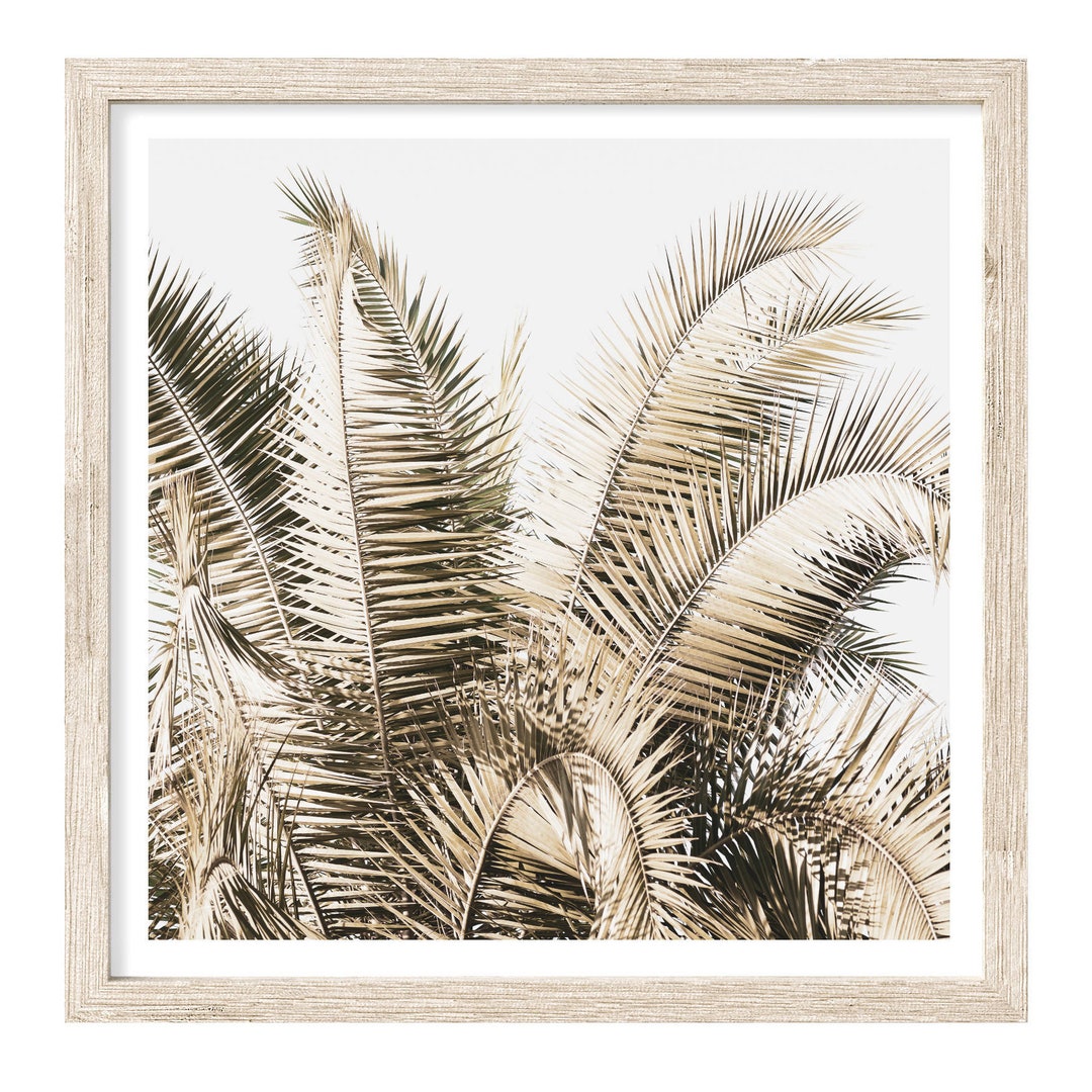 Palm Tree Print, Palm Photography Prints, Extra Large Wall Art, Palm ...