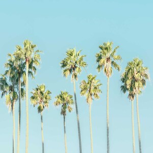 Palm Tree Print, Palm Photography Prints, Extra Large Wall Art, Coastal ...