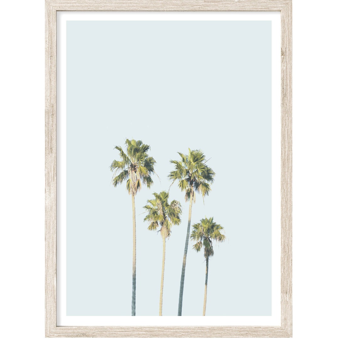Palm Tree Print, Coastal Wall Art, Palm Photography Prints, Extra Large ...