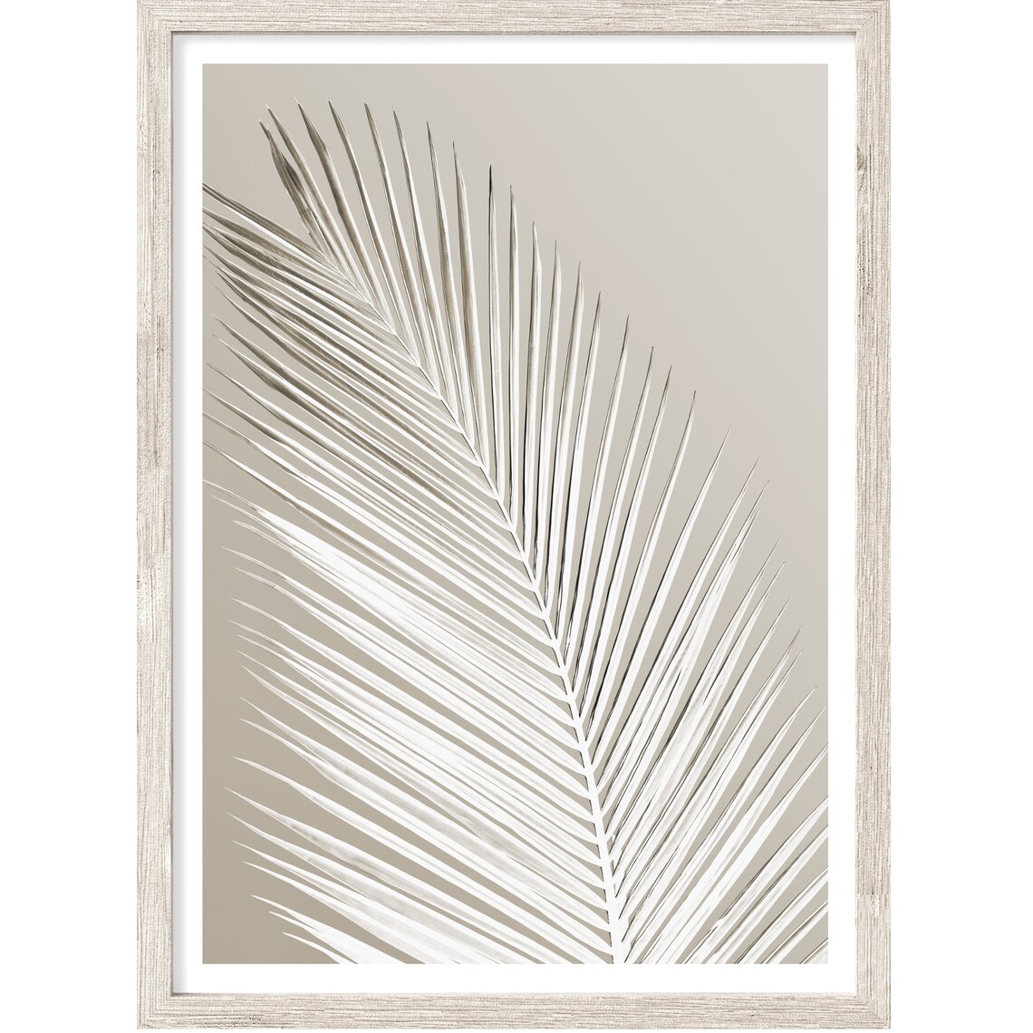 Palm Tree Print, Extra Large Wall Art Prints, Coastal Prints, Neutral ...