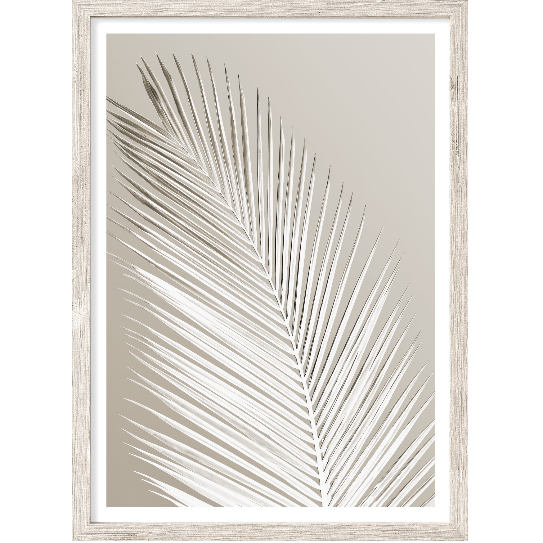 Palm Tree Print, Extra Large Wall Art Prints, Coastal Prints, Neutral ...