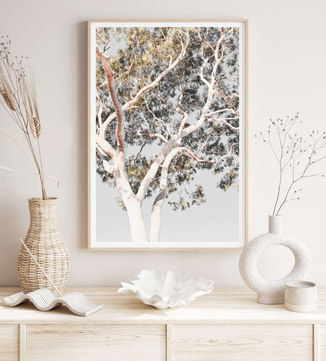 Gum Tree Print, Eucalyptus Tree Photography Prints, Extra Large Wall ...