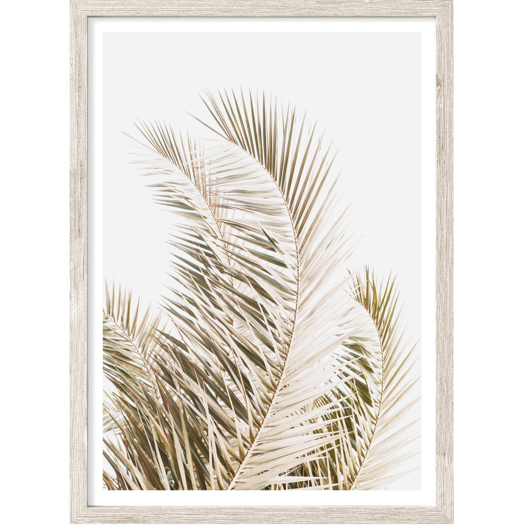 Palm Print, Palm Tree Photography Prints, Large Wall Art Prints ...