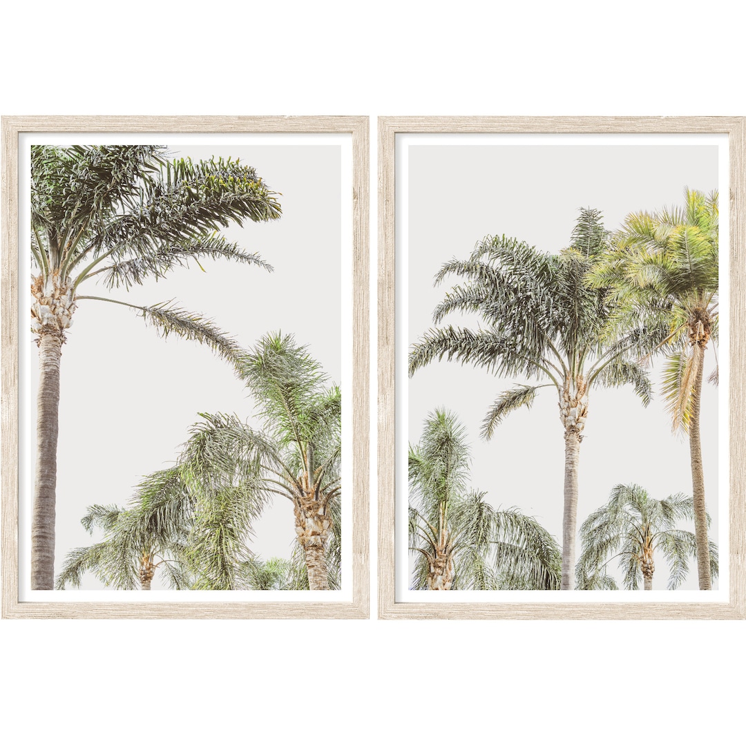 Palm Tree Print, Set of 2, Palm Photography Prints, Extra Large Wall ...