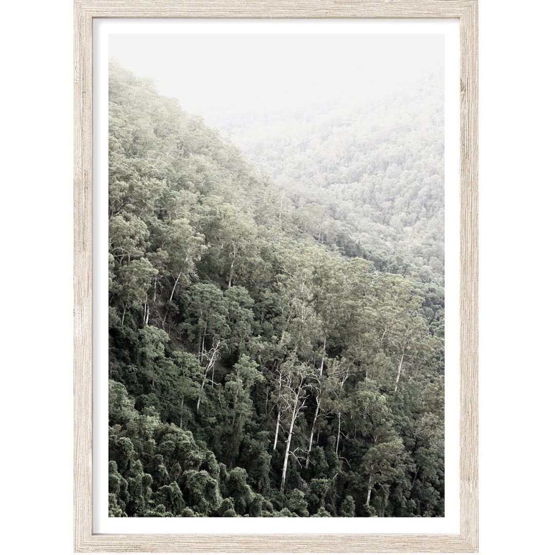 Forest Wall Art, Extra Large Wall Art Prints, Landscape Photography ...