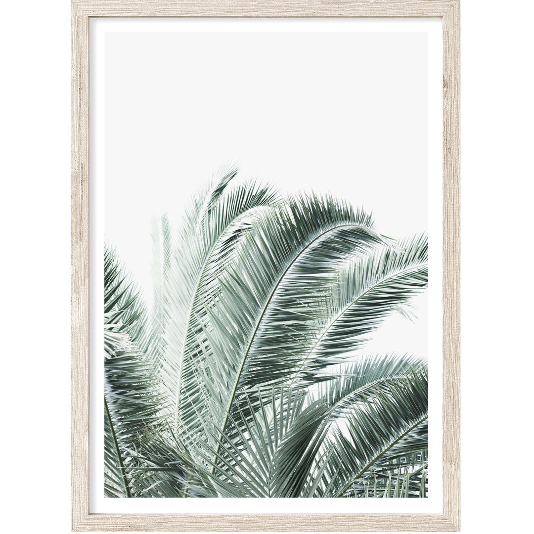 Palm Print, Palm Tree Photography Prints, Large Wall Art Prints ...
