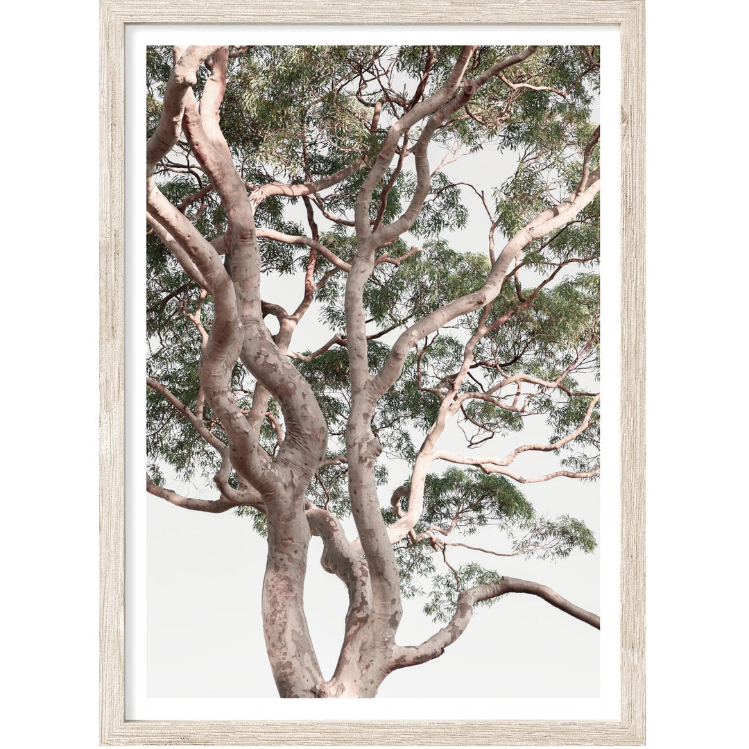 Tree Art, Tree Photography Prints, Extra Large Wall Art Prints, Neutral ...