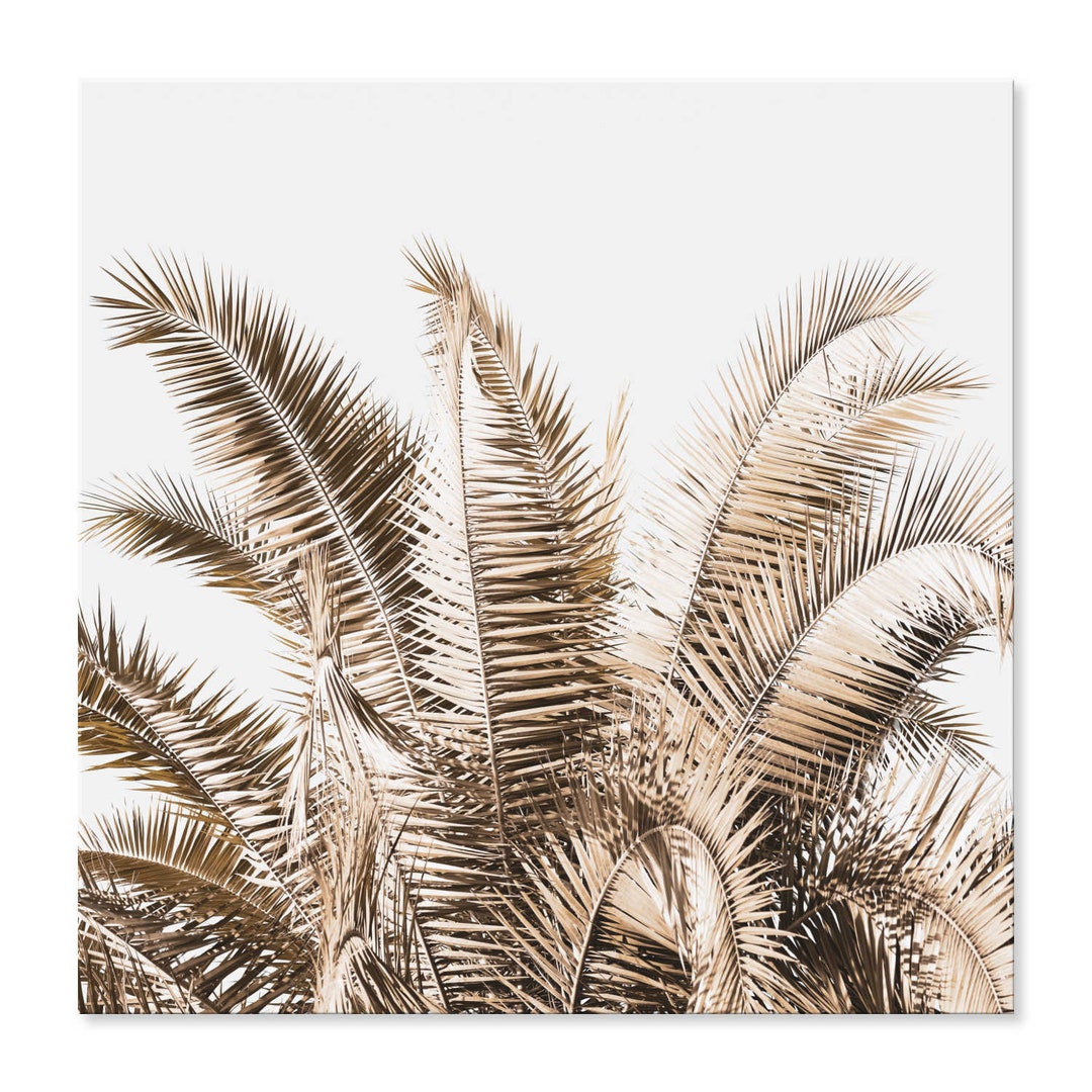 Palm Tree Print, Extra Large Wall Art, Palm Photography Prints, Palm ...