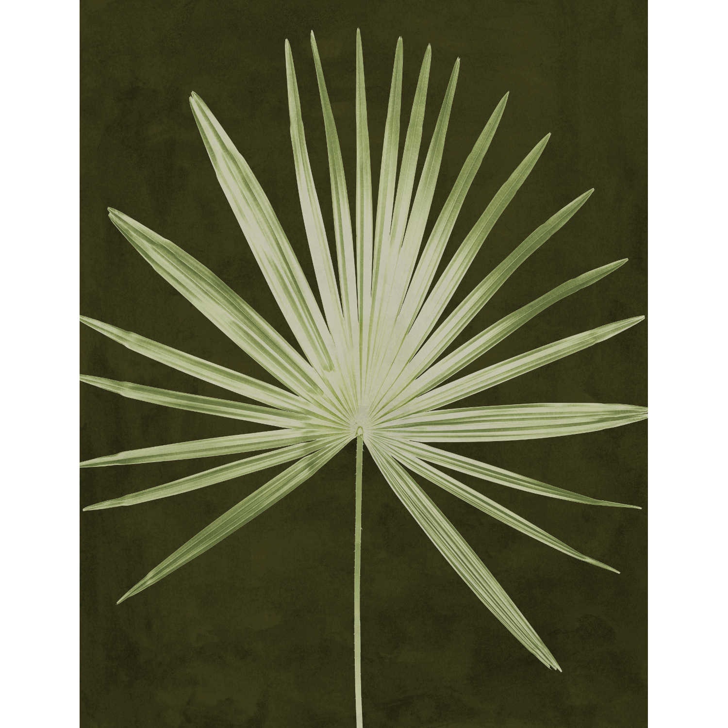 Palm Print, Extra Large Wall Art Prints, Palm Leaf Prints, Palm Wall ...