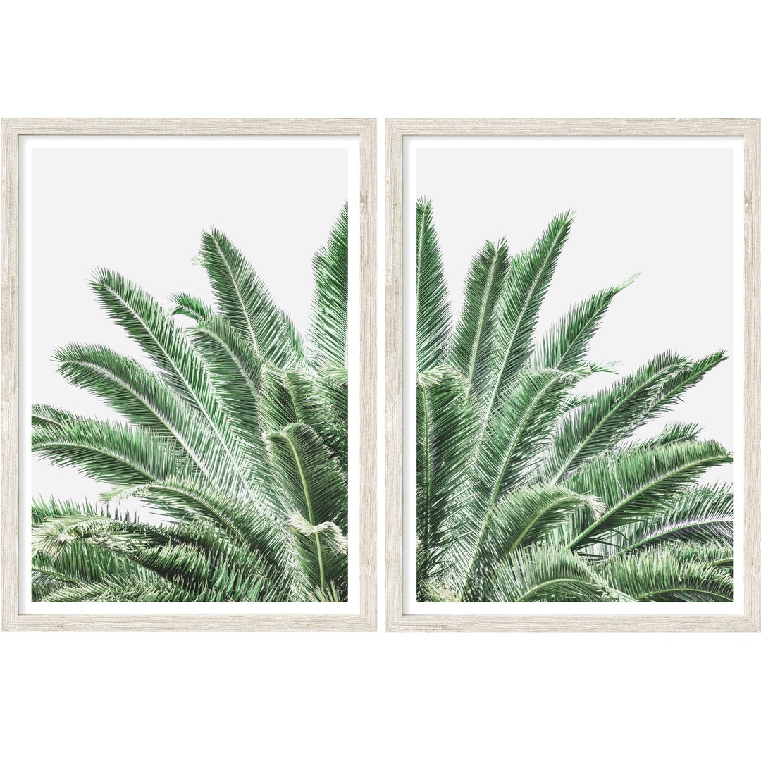 Palm Tree Print, Set of 2 Prints, Palm Photography Prints, Large Wall ...