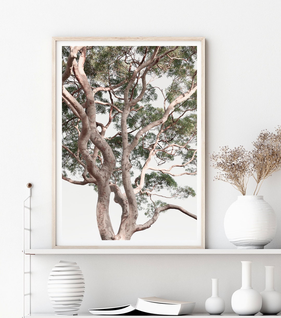 Gum Tree Print, Tree Photography Prints, Extra Large Wall Art Prints ...