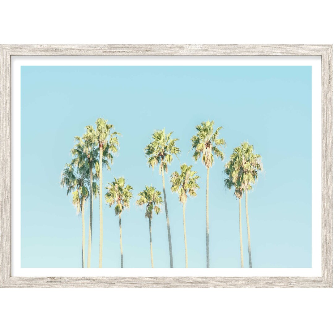 Palm Tree Print, Palm Photography Prints, Extra Large Wall Art, Coastal ...