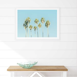 Palm Tree Print, Palm Photography Prints, Extra Large Wall Art, Coastal ...
