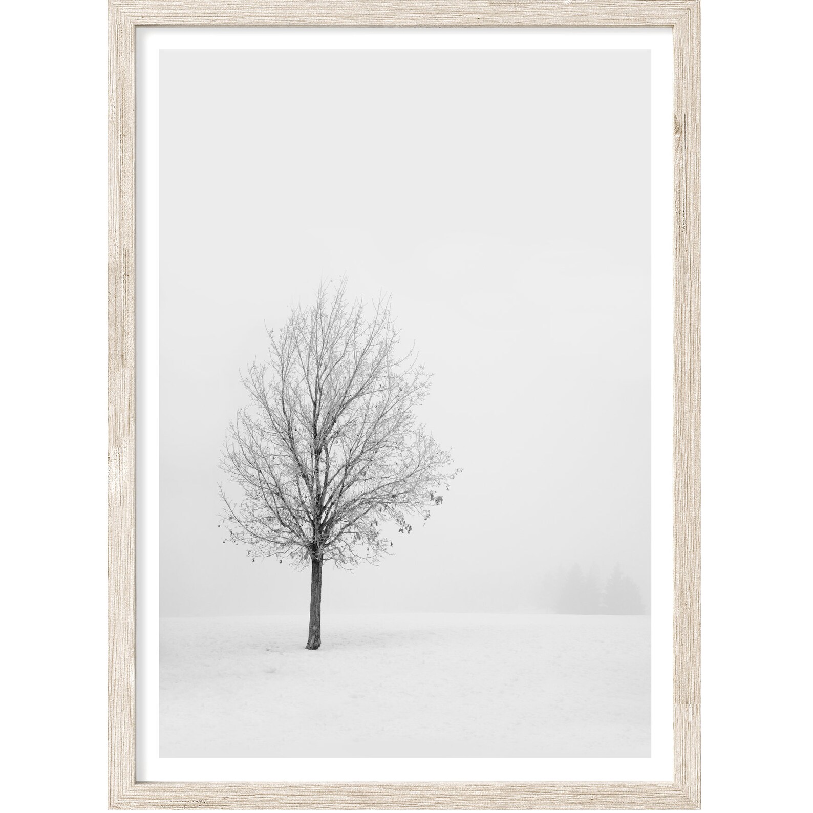 Tree Art Black and White Photography Prints Extra Large Wall | Etsy