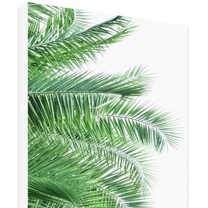 Palm Tree Print, Extra Large Wall Art, Palm Photography Prints, Palm ...