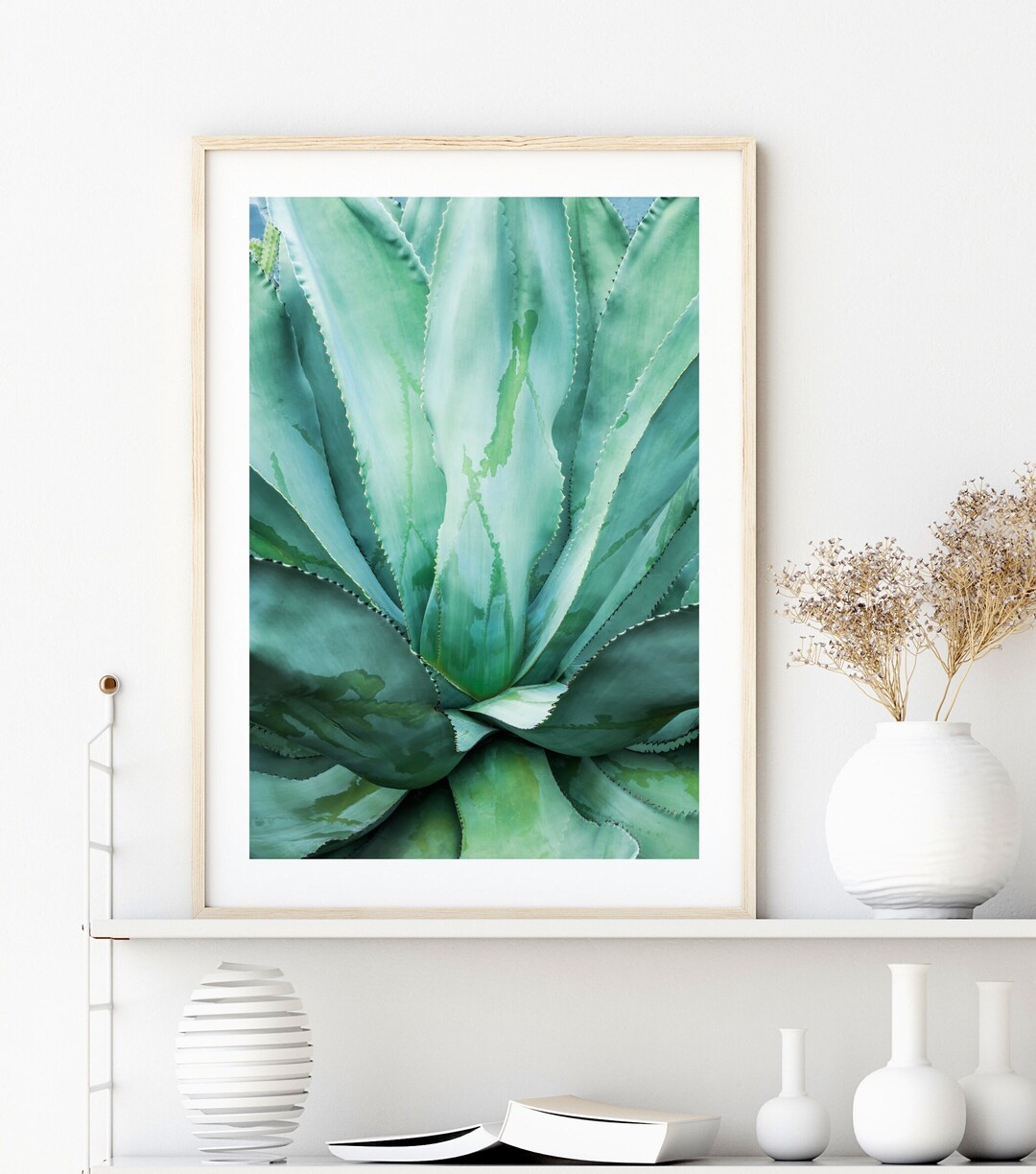 Succulent Print, Succulent Wall Art Prints, Photography Prints, Extra ...