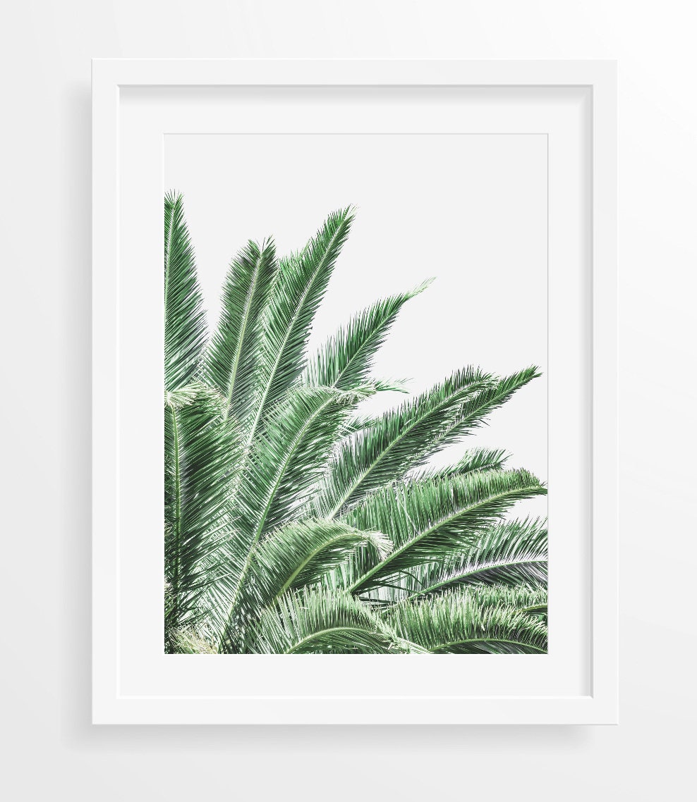 Palm Tree Print, Set of 2 Prints, Palm Photography Prints, Large Wall ...