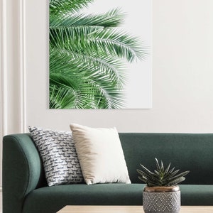 Palm Tree Print, Extra Large Wall Art, Palm Photography Prints, Palm ...