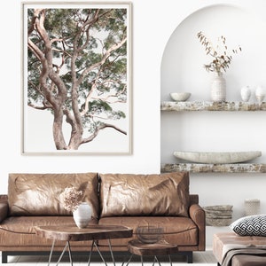 Gum Tree Print Tree Photography Prints Extra Large Wall Art - Etsy