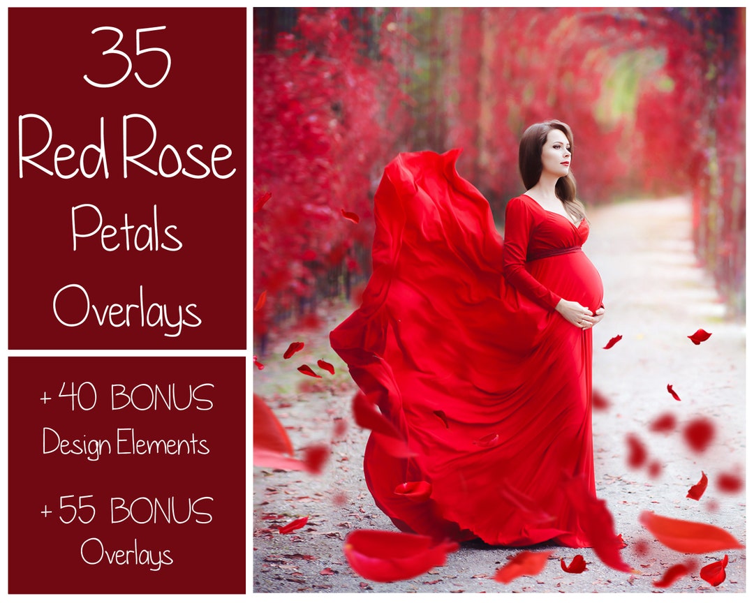 130 Red Rose Petals Overlays - Rose Overlays - Valentines Day - Rose ...